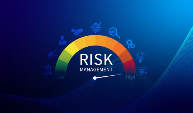 What Is Portfolio Risk Management? – Techno PM - Project Management ...