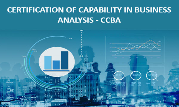 What Is Certification of Capability In Business Analysis (CCBA ...