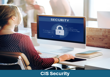 CIS Security – Techno PM - Project Management Templates Download