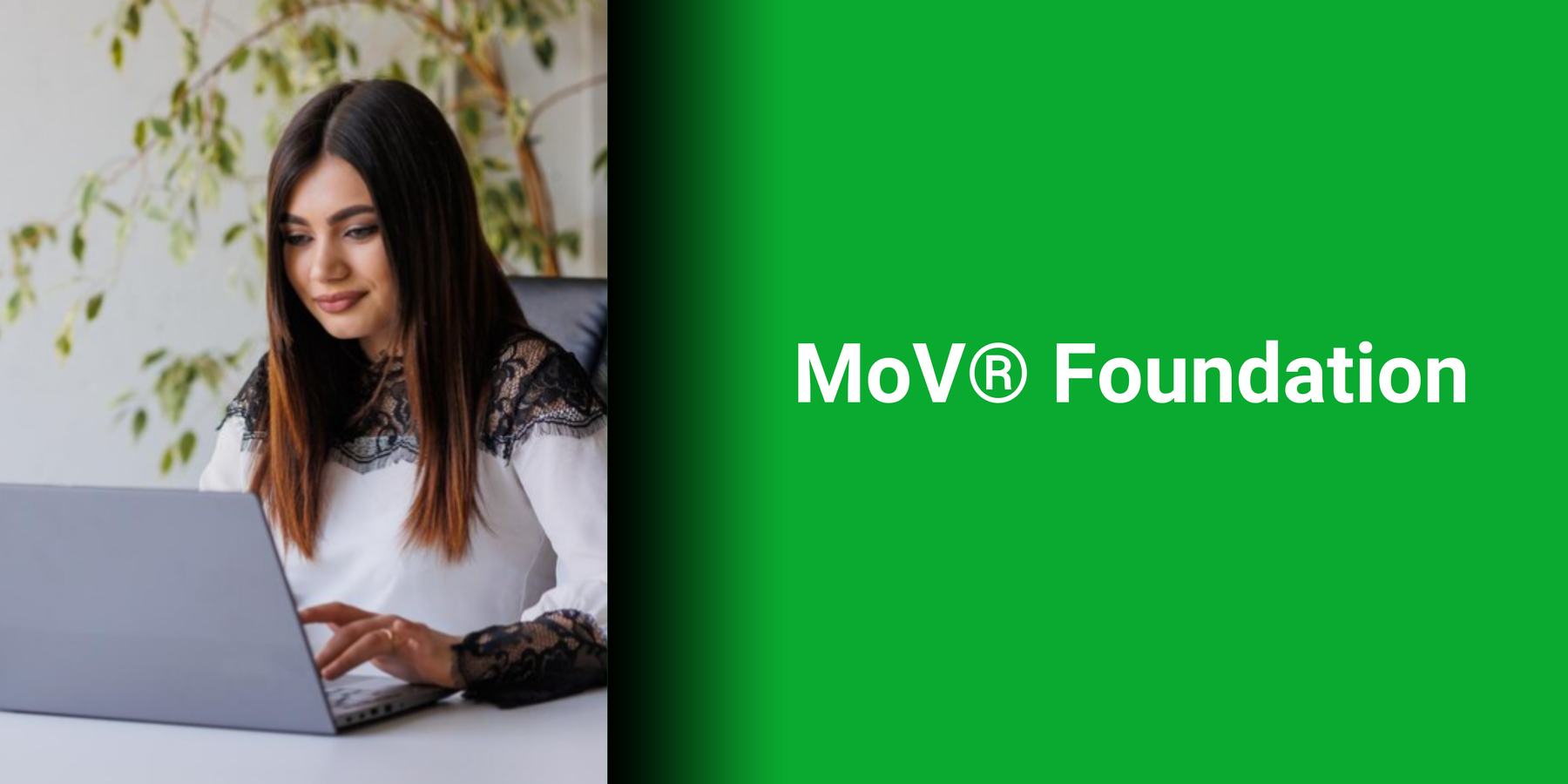 MoV® Foundation – Techno PM - Project Management Templates Download
