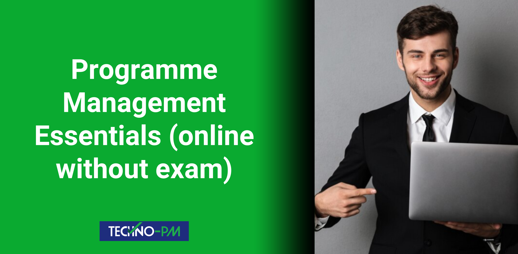Programme Management Essentials (online without exam) – Techno PM ...
