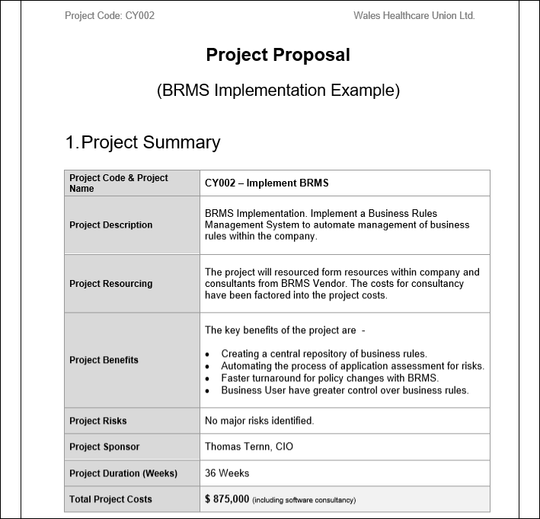 Project Proposal BRMS Implementation Template – Techno PM - Project ...